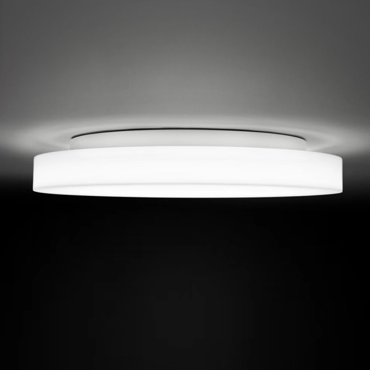 Float Series Archives - Purati